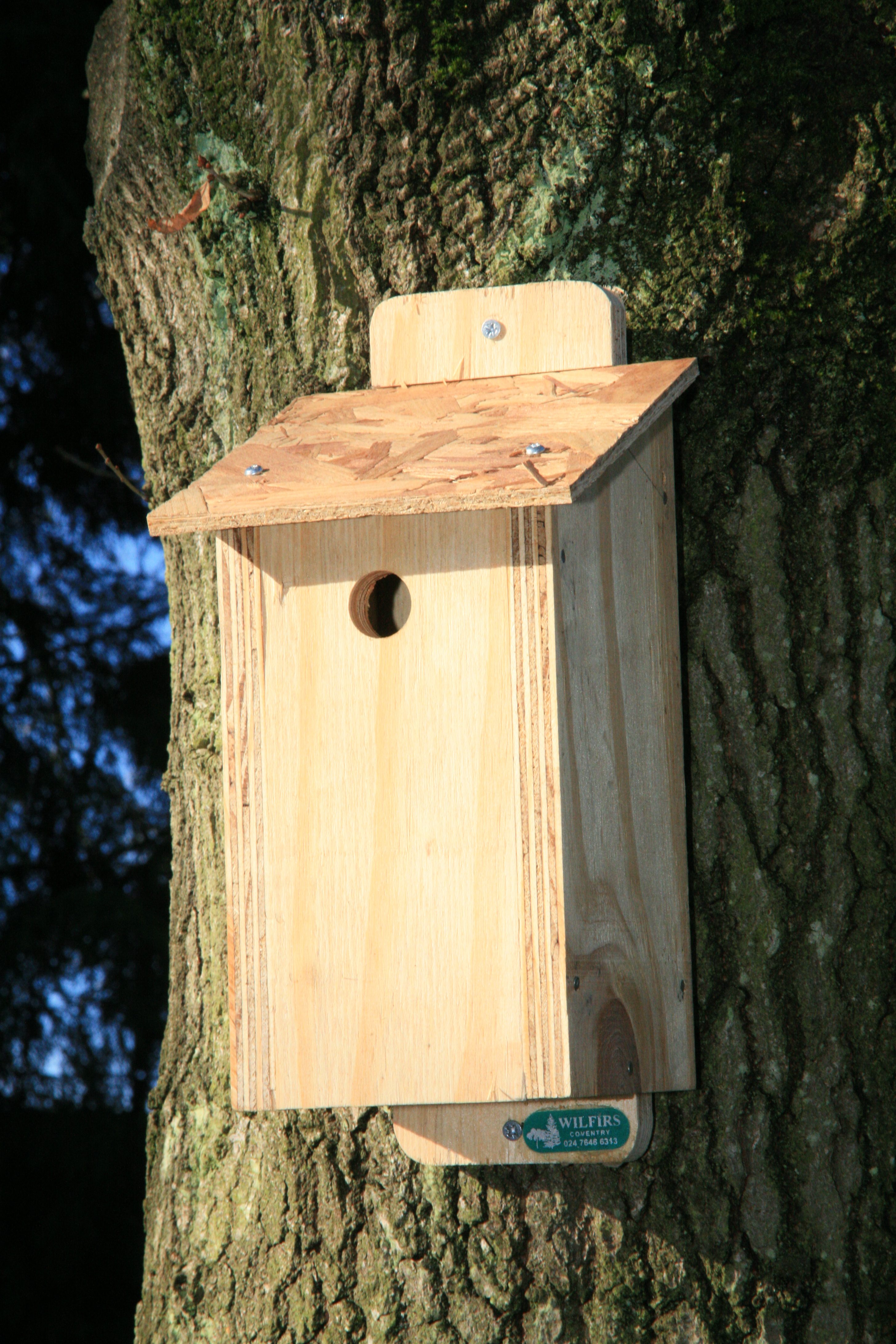 Wooden Bird Boxes and Tables | Bespoke Wooden Bird Box | Wilfirs
