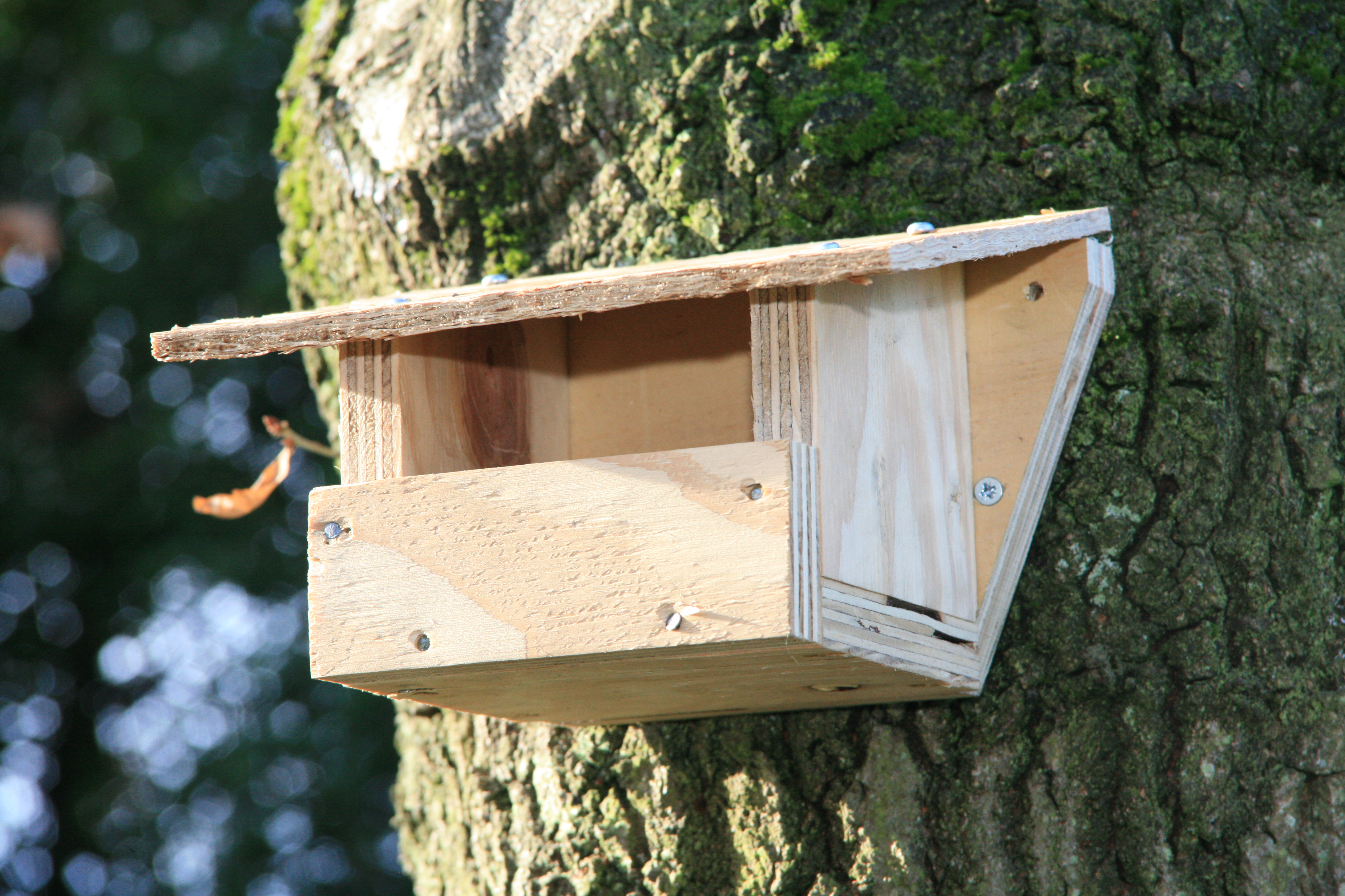 Wooden Bird Boxes and Tables | Bespoke Wooden Bird Box | Wilfirs
