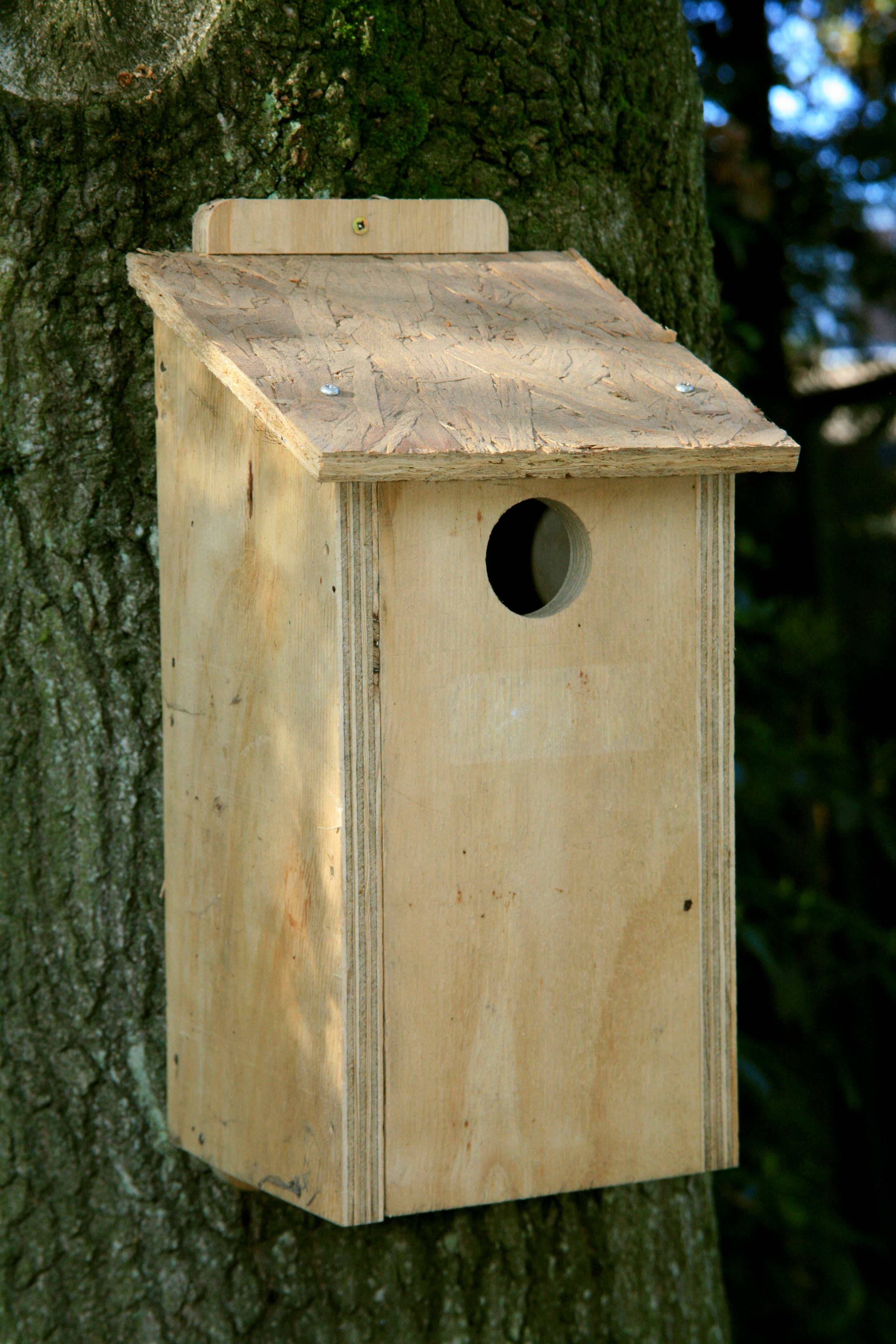 Wooden Bird Boxes and Tables | Bespoke Wooden Bird Box | Wilfirs